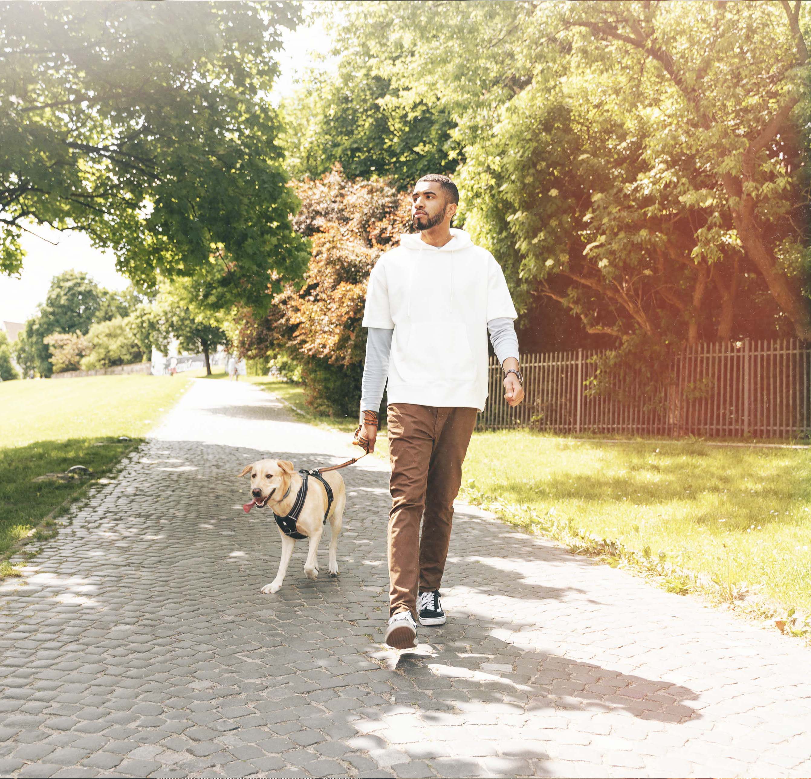 Findity | Use cases | Accounting & Payroll