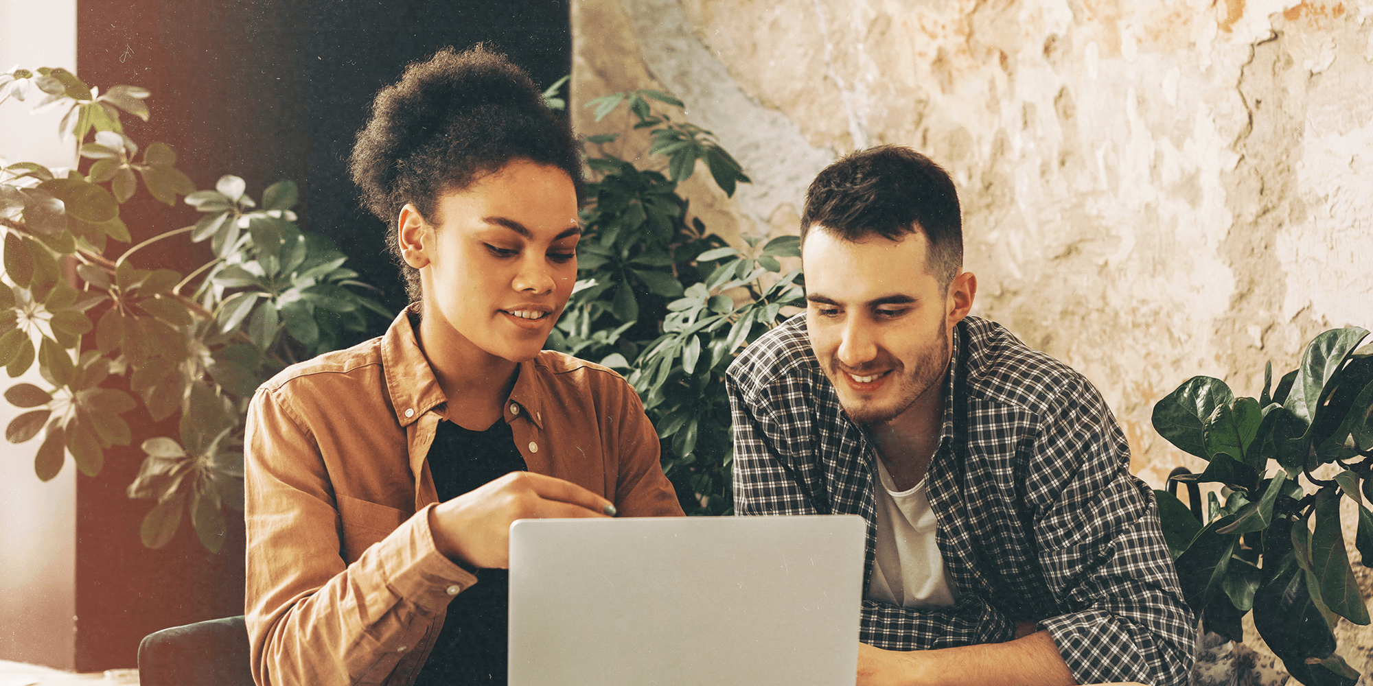 Findity | What's included